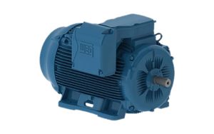 Distribuidor e assistente técnico WEG | Grupo Dismotor