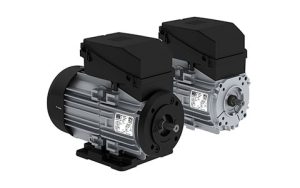 Motores Elétricos | Grupo Dismotor | WEG